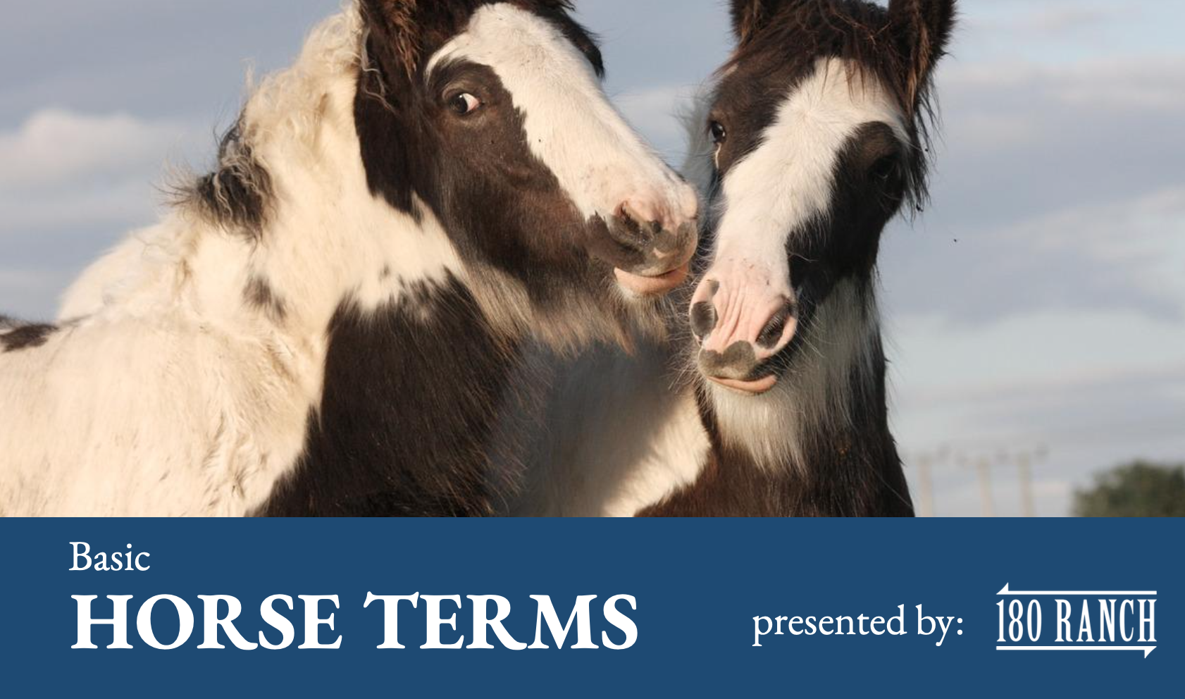Horse Terminology Slide Deck - View Only - 180 Ranch NWA